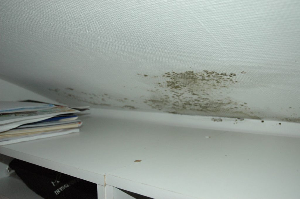 Condensations et Moisissures - L'Expert Habitat